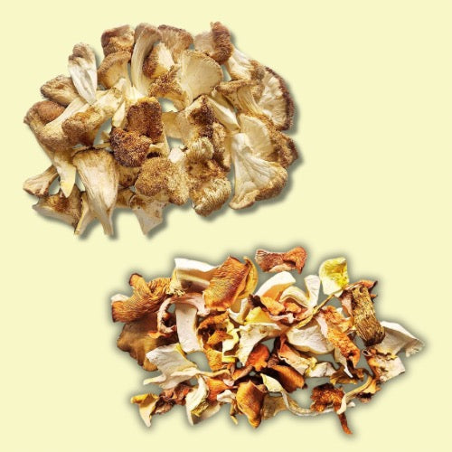 Sunshine Mushrooms your Local Sunshine Coast Gourmet Mushroom farmer ...