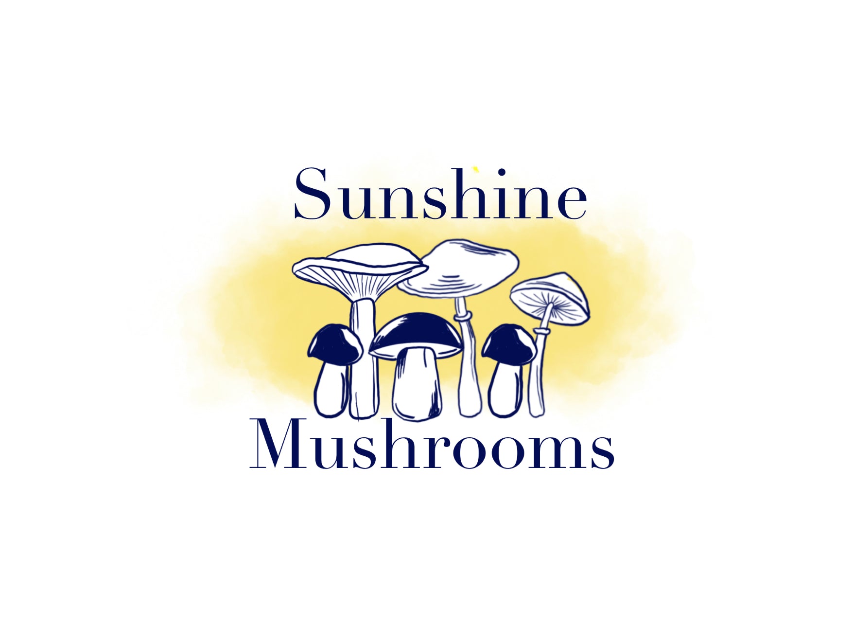 Sunshine Mushrooms your Local Sunshine Coast Gourmet Mushroom farmer ...